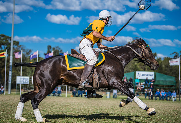 Get Involved – Polocrosse Australia
