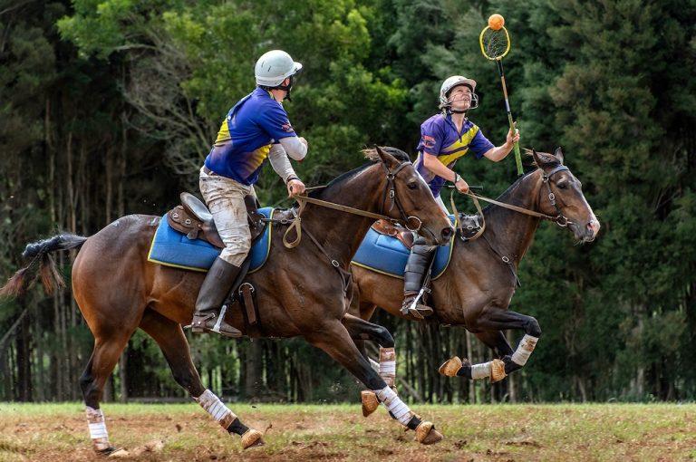The Game – Polocrosse Australia