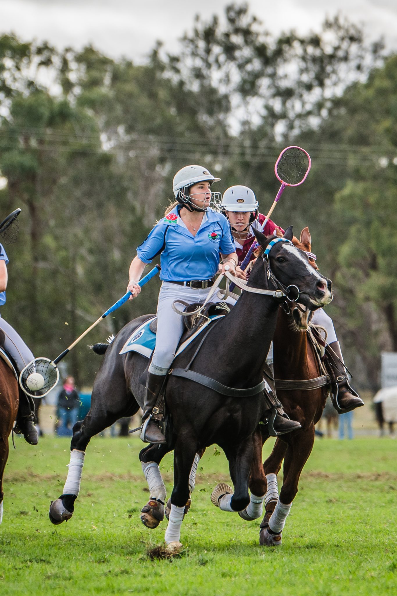 The Henry legacy saddles up for Australia again – Polocrosse Australia